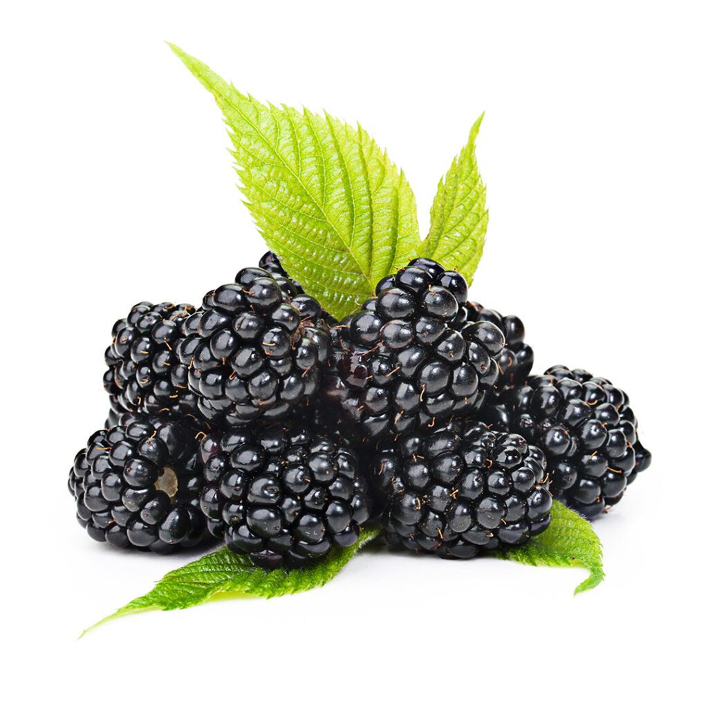 Product Range - Select Fruits