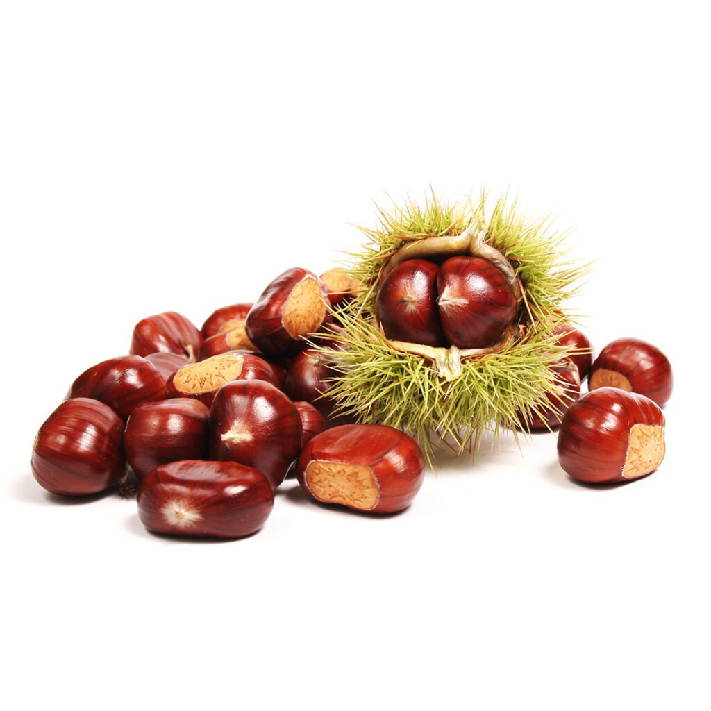 Product Range - Select Fruits