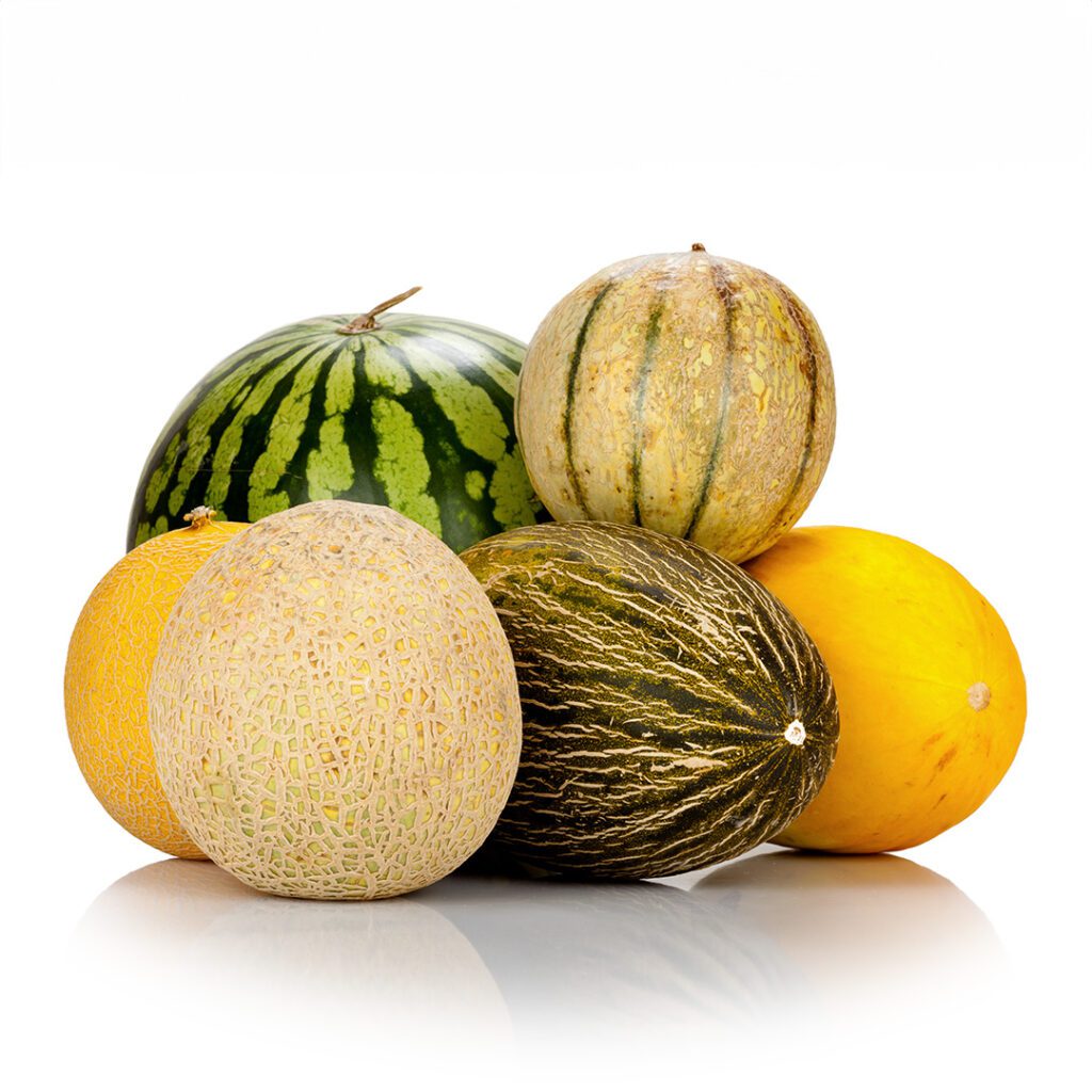 Melons - Select Fruits