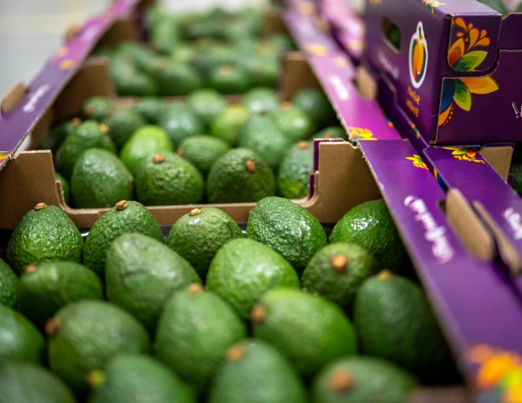 Sustainability - Select Fruits